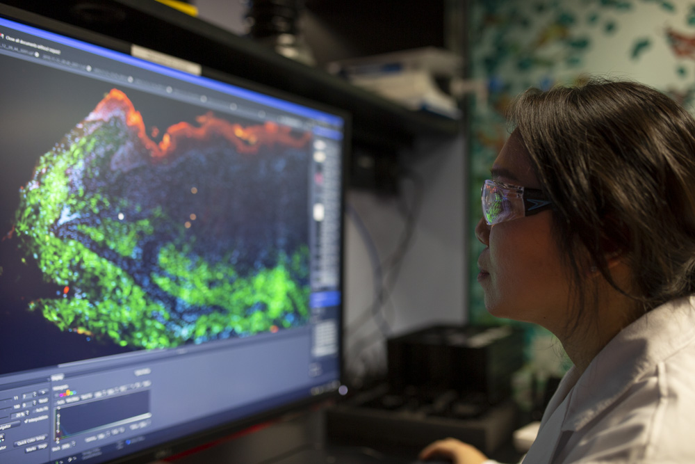 GIH Newsletter August 2021 - Genome Innovation Hub - University of ...